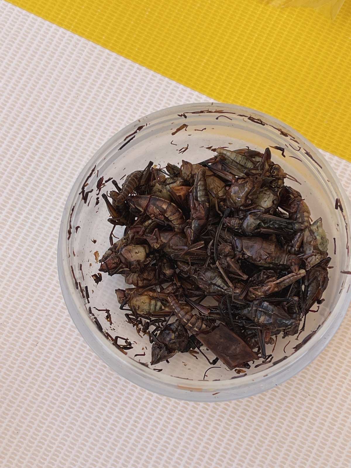 Eating with Carmen Review: Must Try Foods of Playa del Carmen (#9 will ...