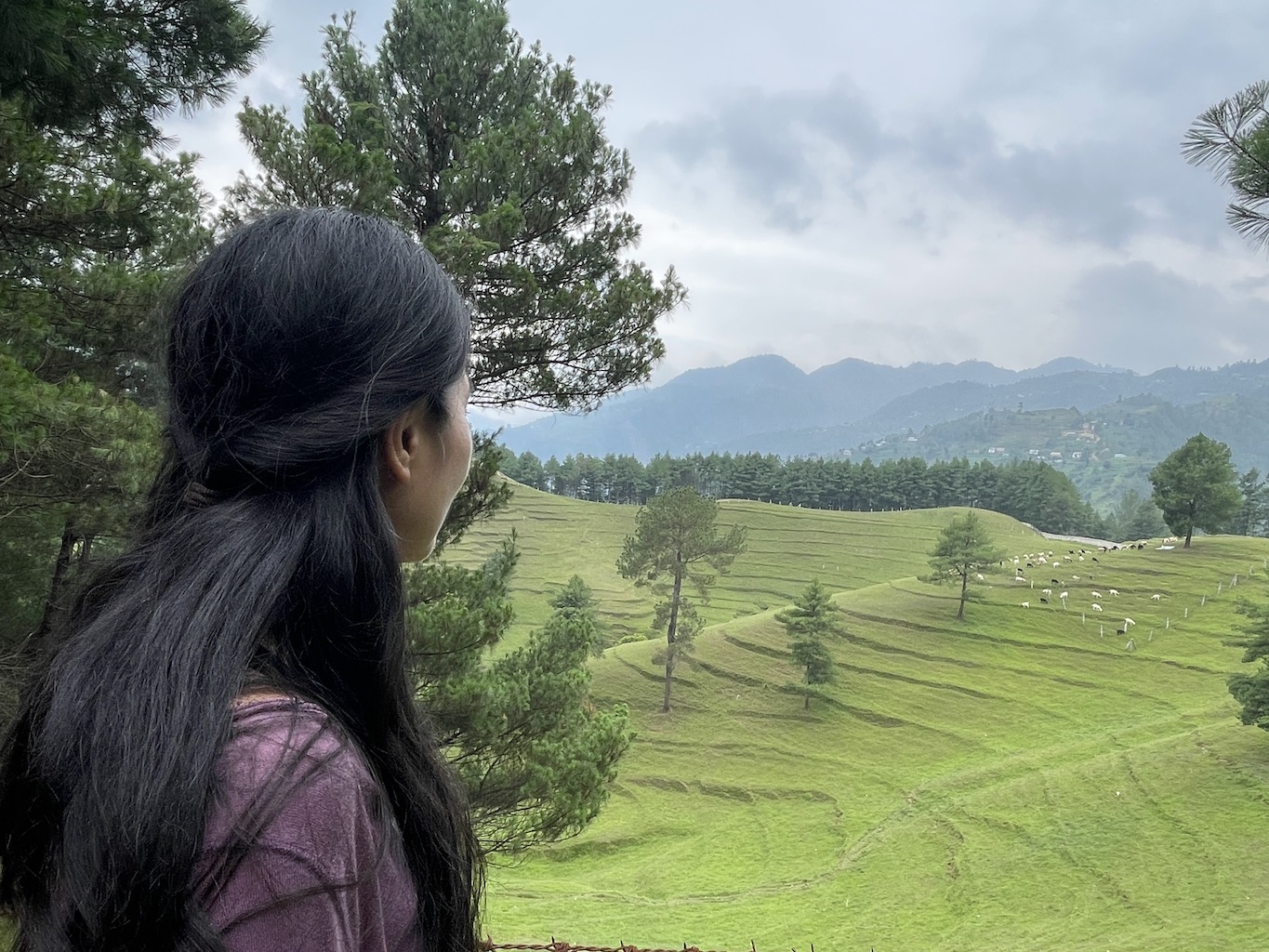 3 Day Chitlang Itinerary: Romantic Things to Do at Nepal's Rural ...