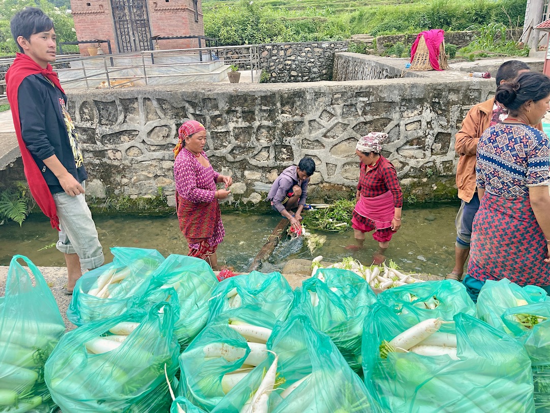 3 Day Chitlang Itinerary: Romantic Things to Do at Nepal's Rural ...