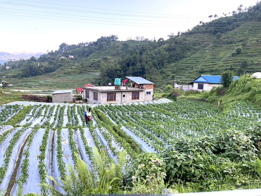 3 Day Chitlang Itinerary: Romantic Things to Do at Nepal's Rural ...